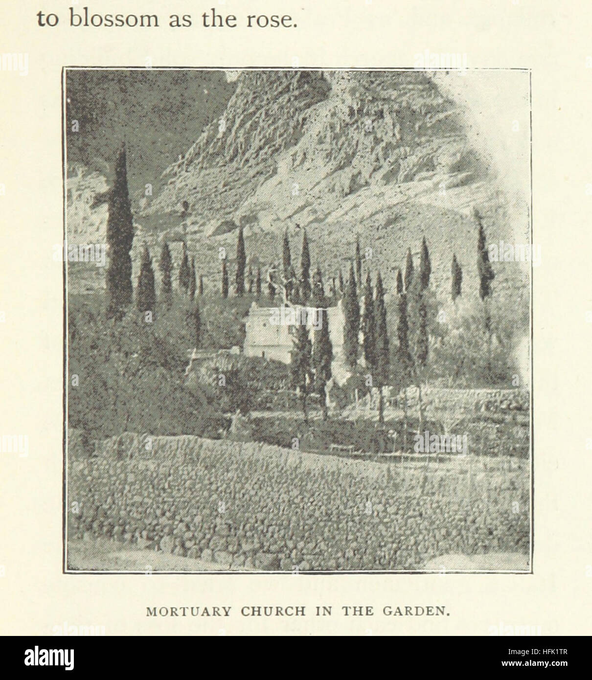 The image is from 'In the Shadow of Sinai' (1898), depicting an ...