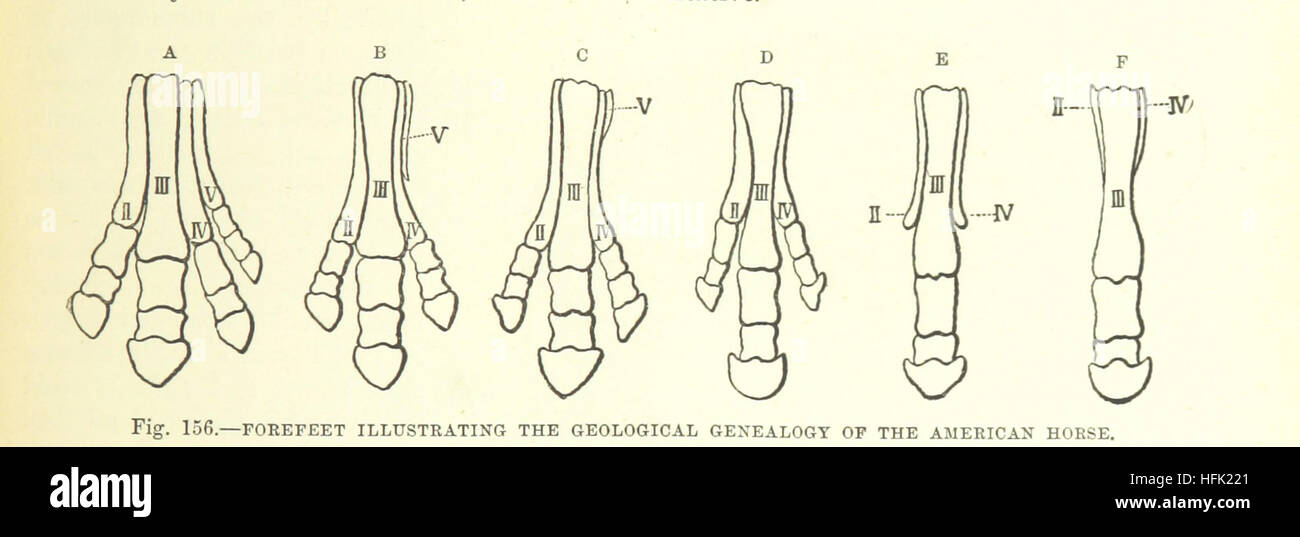 This book provides a popular introduction to physical geography ...