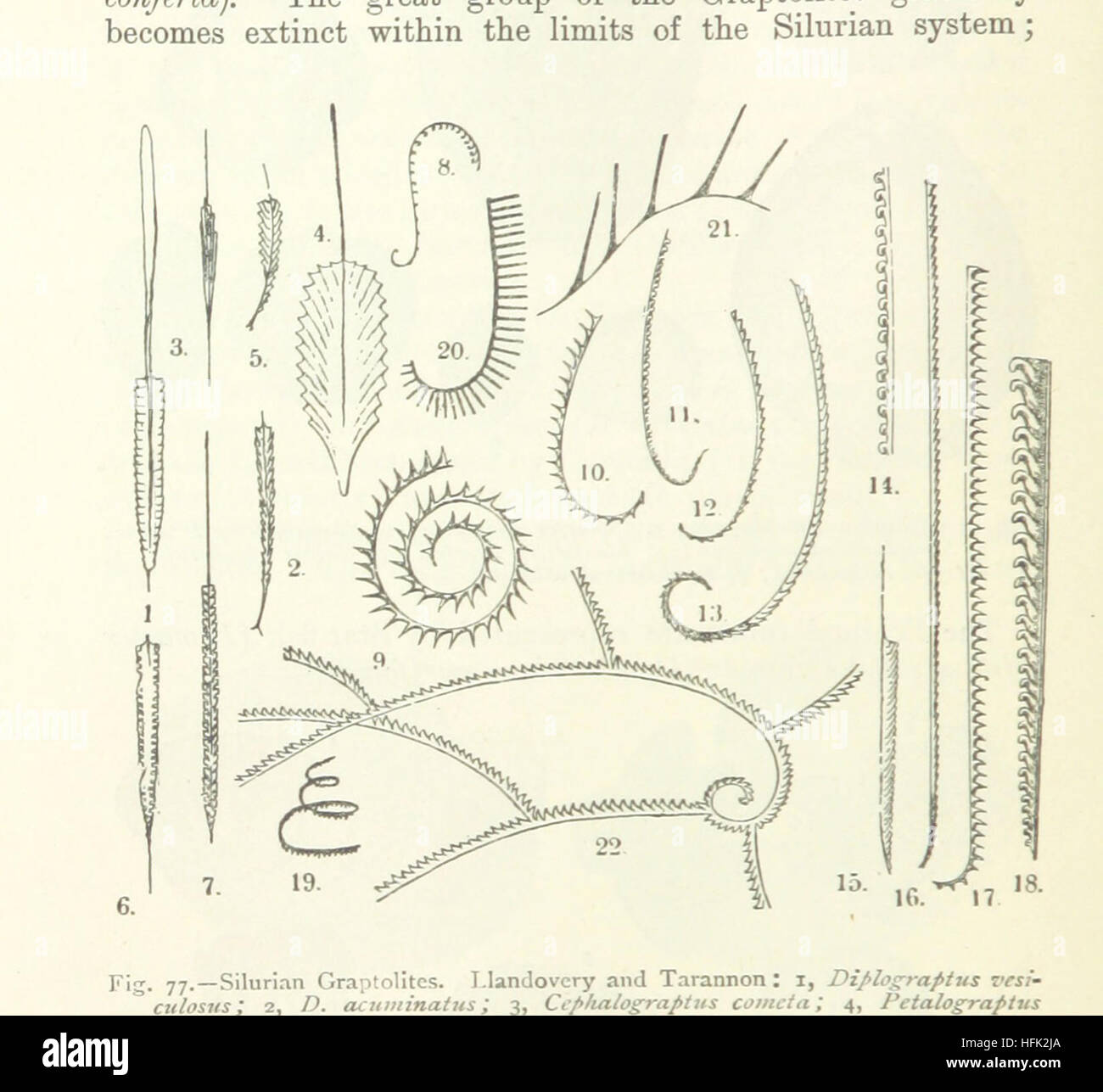 An intermediate-level geology textbook covering key geological concepts ...