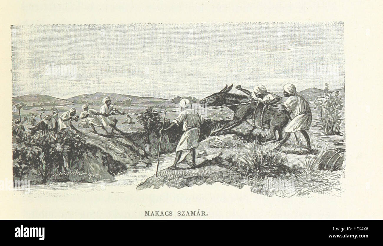 This Hungarian work documents the explorations of Samuel Teleki in East ...