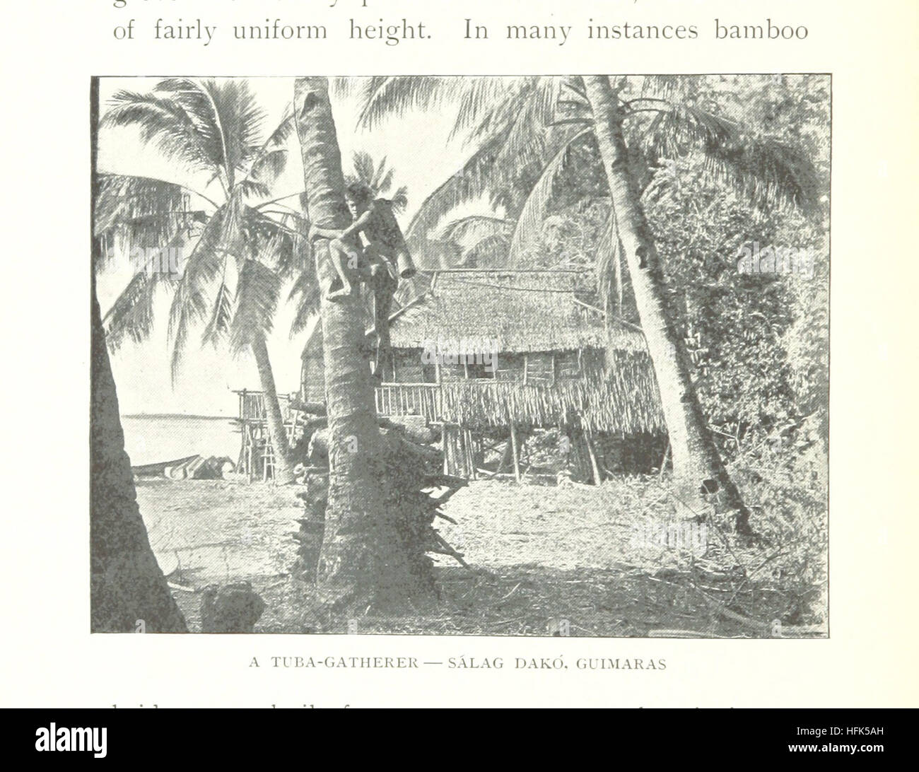 An image from 'The Philippine Islands and Their People', illustrating ...