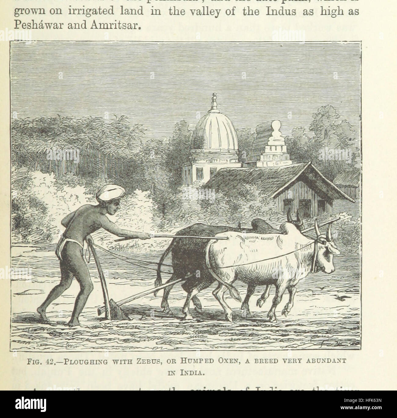 The image shows a page from 'Longmans' School Geography for Australasia ...