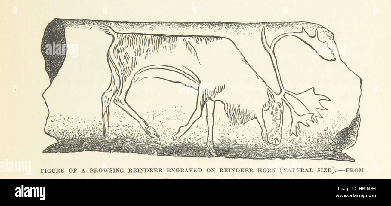 This work explores the early stages of human history in Europe ...