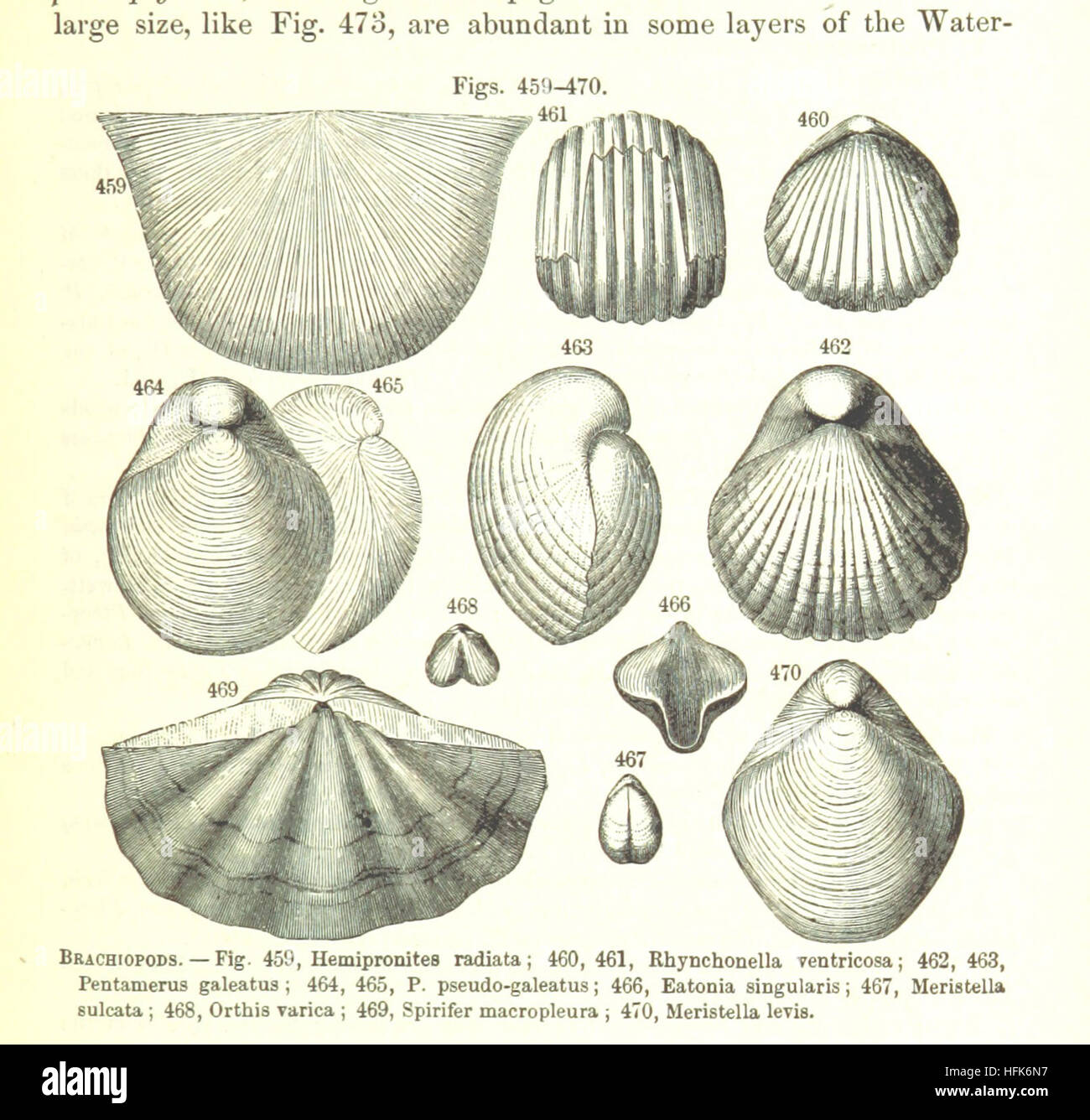An image from 'Manual of Geology', illustrating key geological ...
