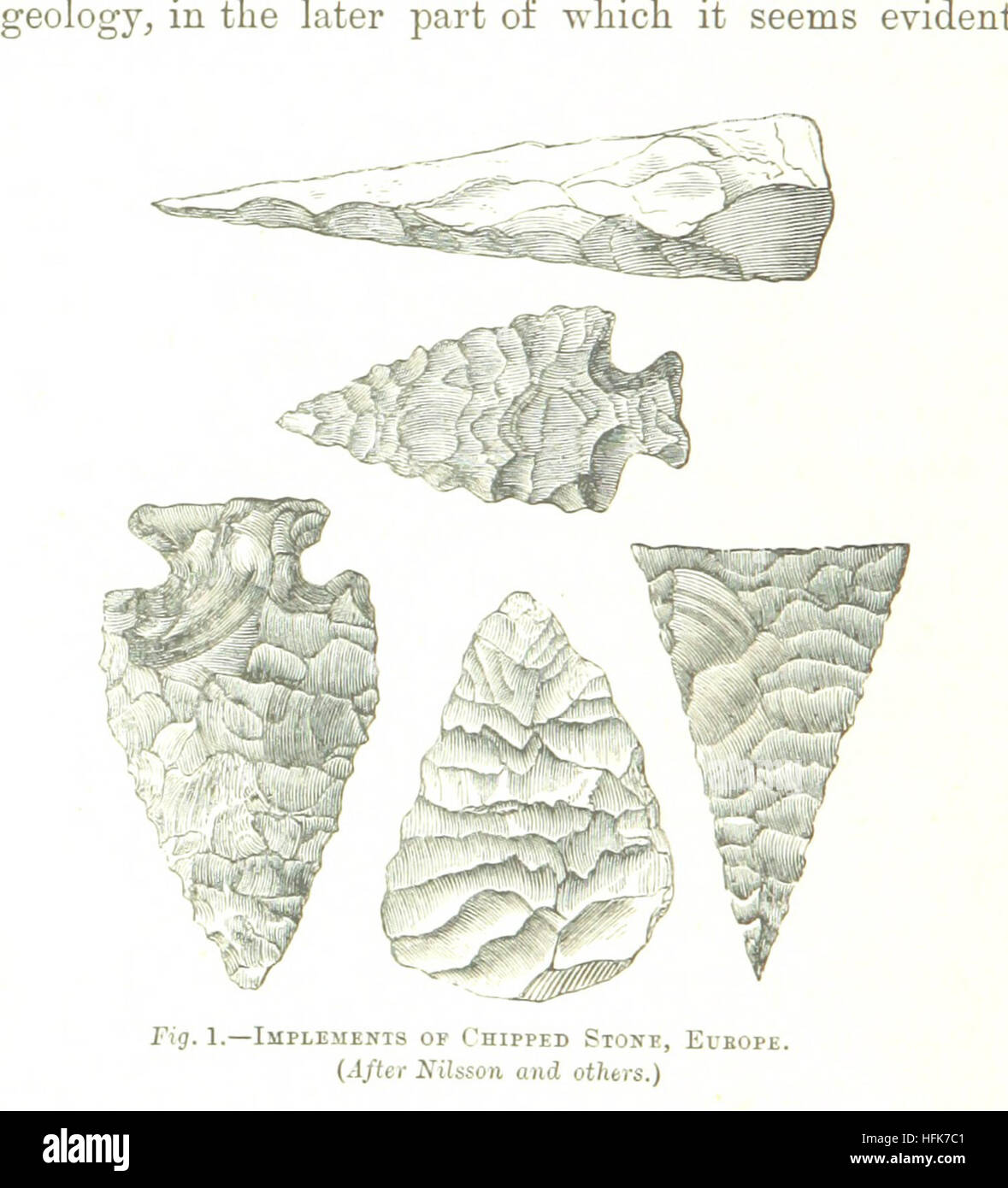 A work comparing prehistoric European men to their modern counterparts ...