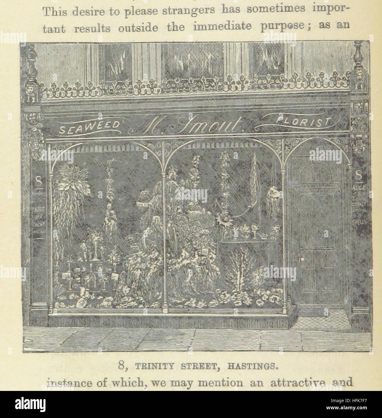A detailed guide to Hastings and St. Leonards, featuring a map and ...