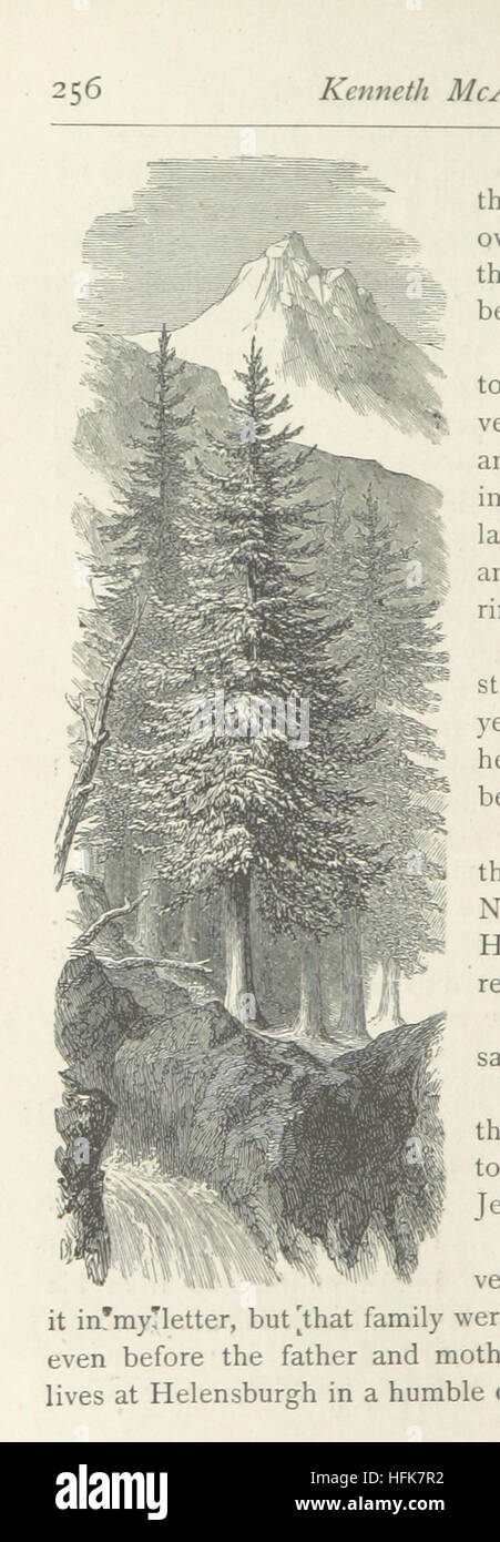 Page 260 of 'Kenneth McAlpine' tells a story set in the diverse ...