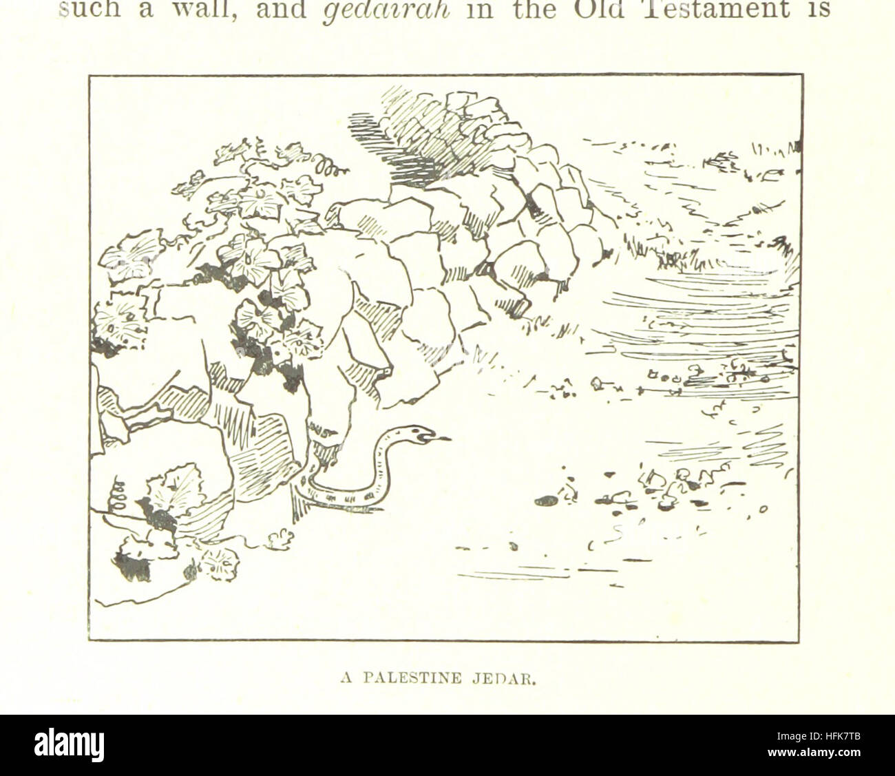 'Pictured Palestine' provides a visual and descriptive exploration of ...