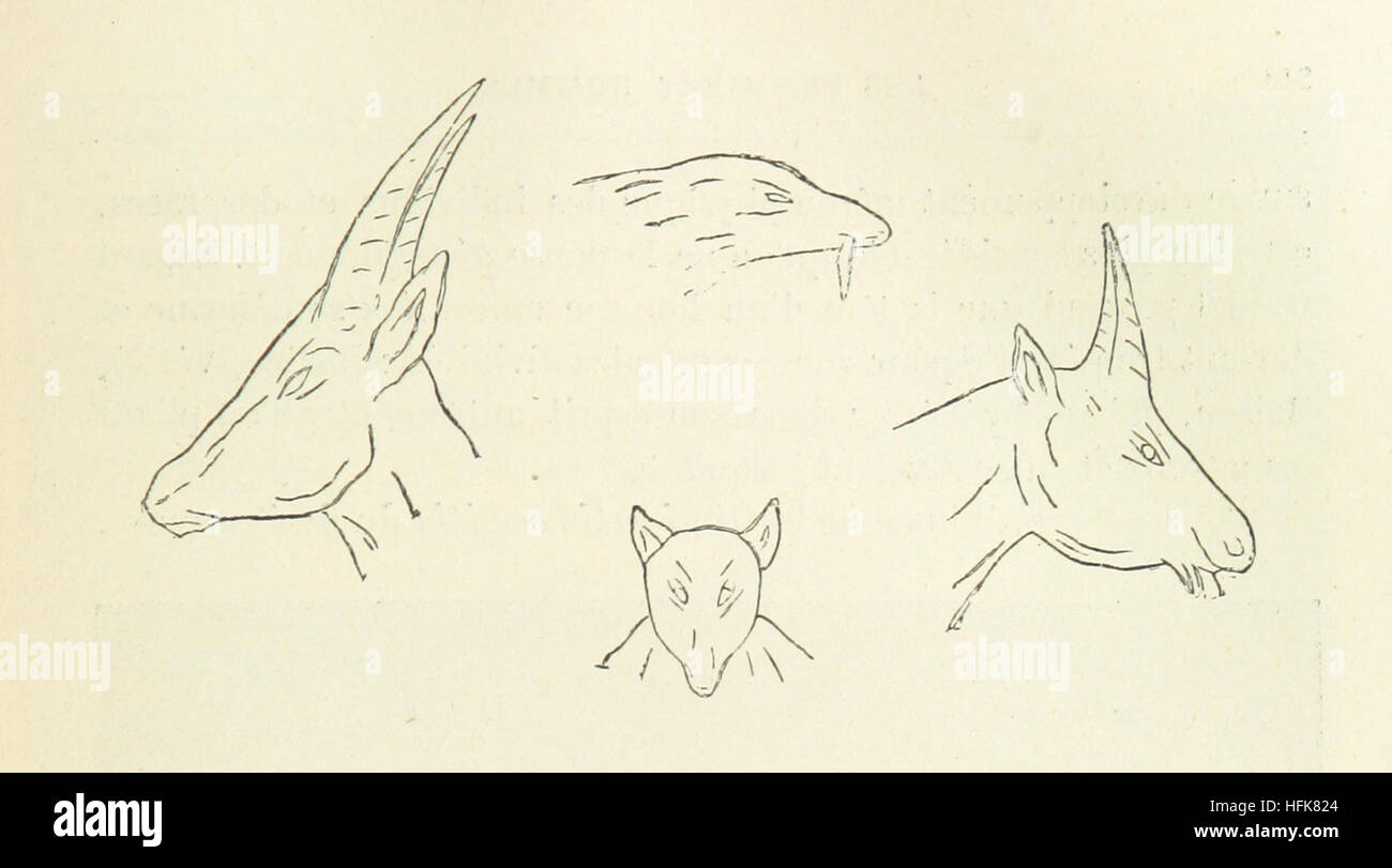 A work on the creation of mankind and the early ages of humanity ...