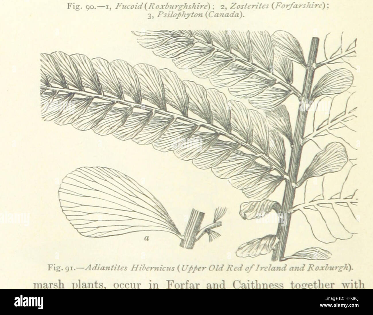 An intermediate-level geology textbook by C. Lapworth, building upon ...