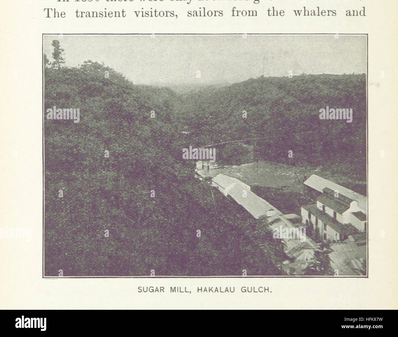 An exploration of Hawaii and its people, focusing on the islands ...