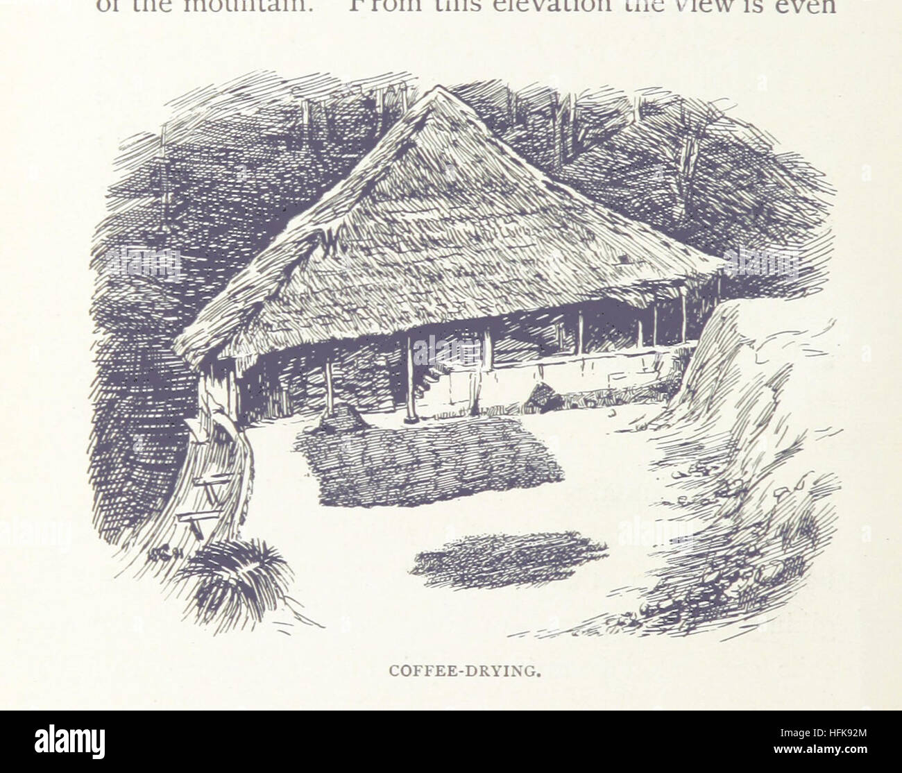 This work details the adventures of an orchid hunter in Colombia ...