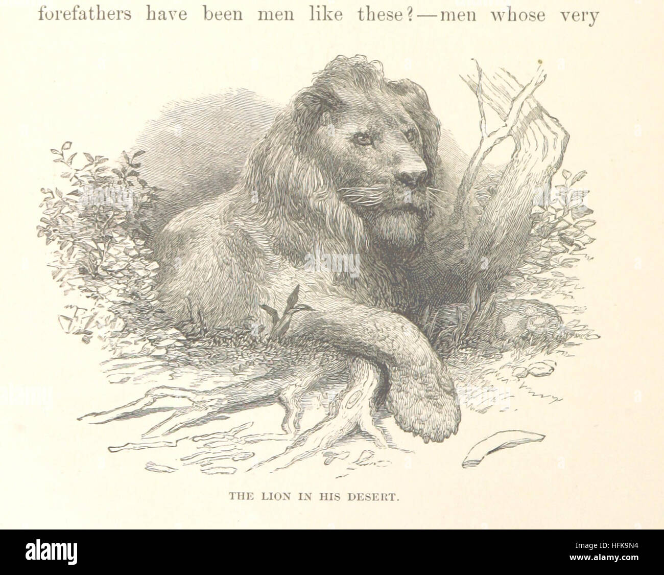 This image from page 100 of 'What Mr. Darwin saw' highlights Darwin’s ...