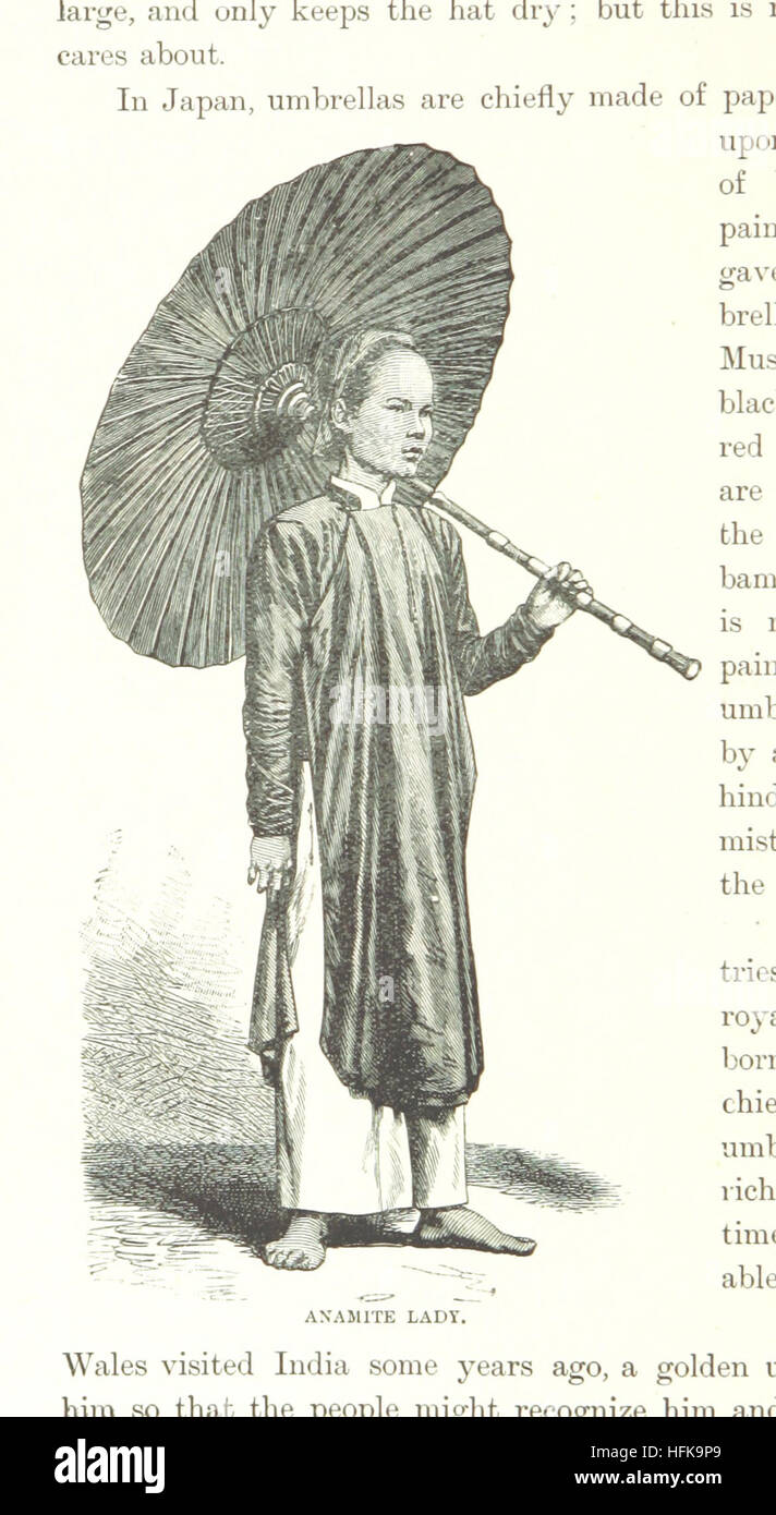 A collection of natural and artistic wonders, exploring curious ...