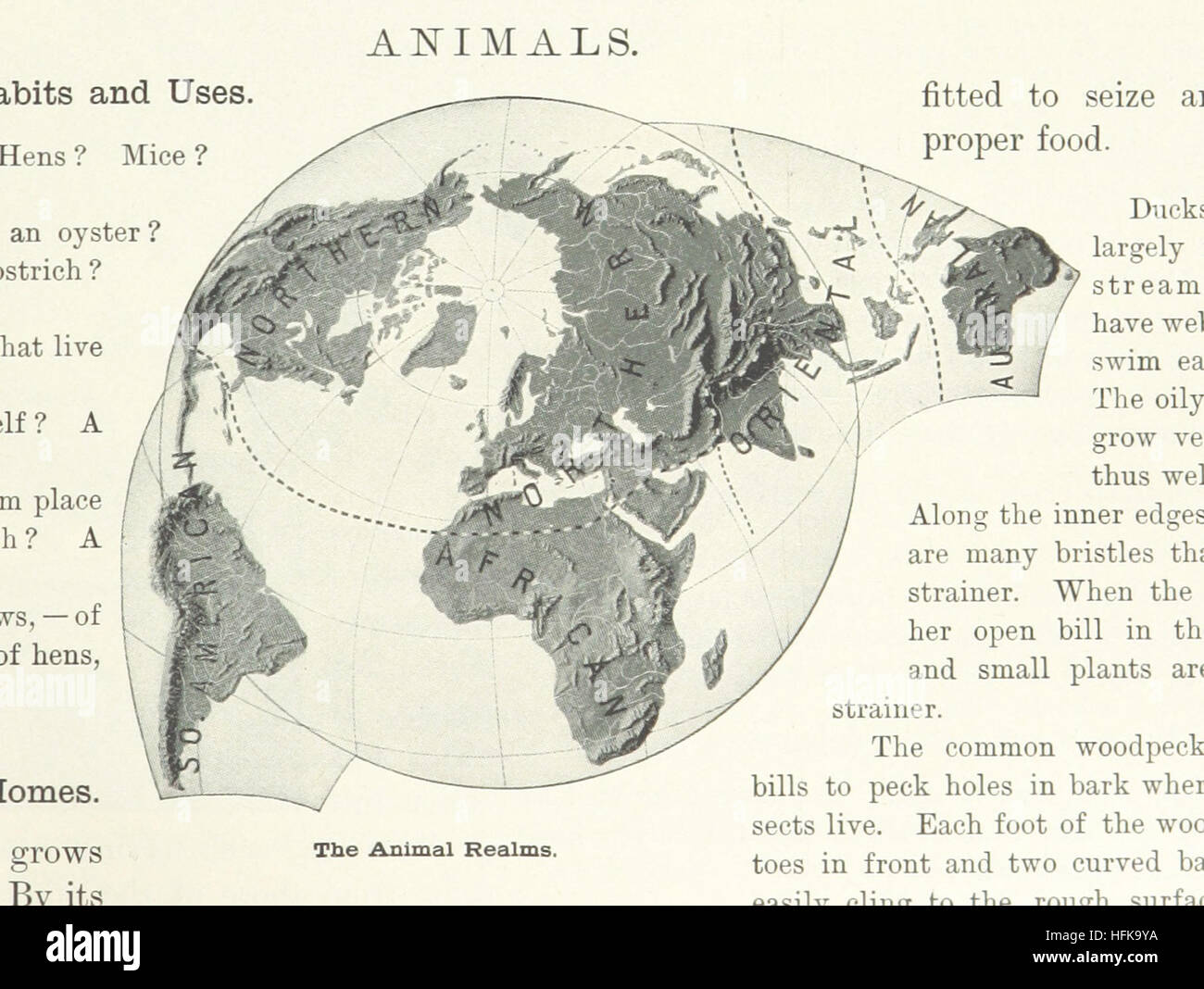 An advanced geography book providing detailed insights into the world's ...