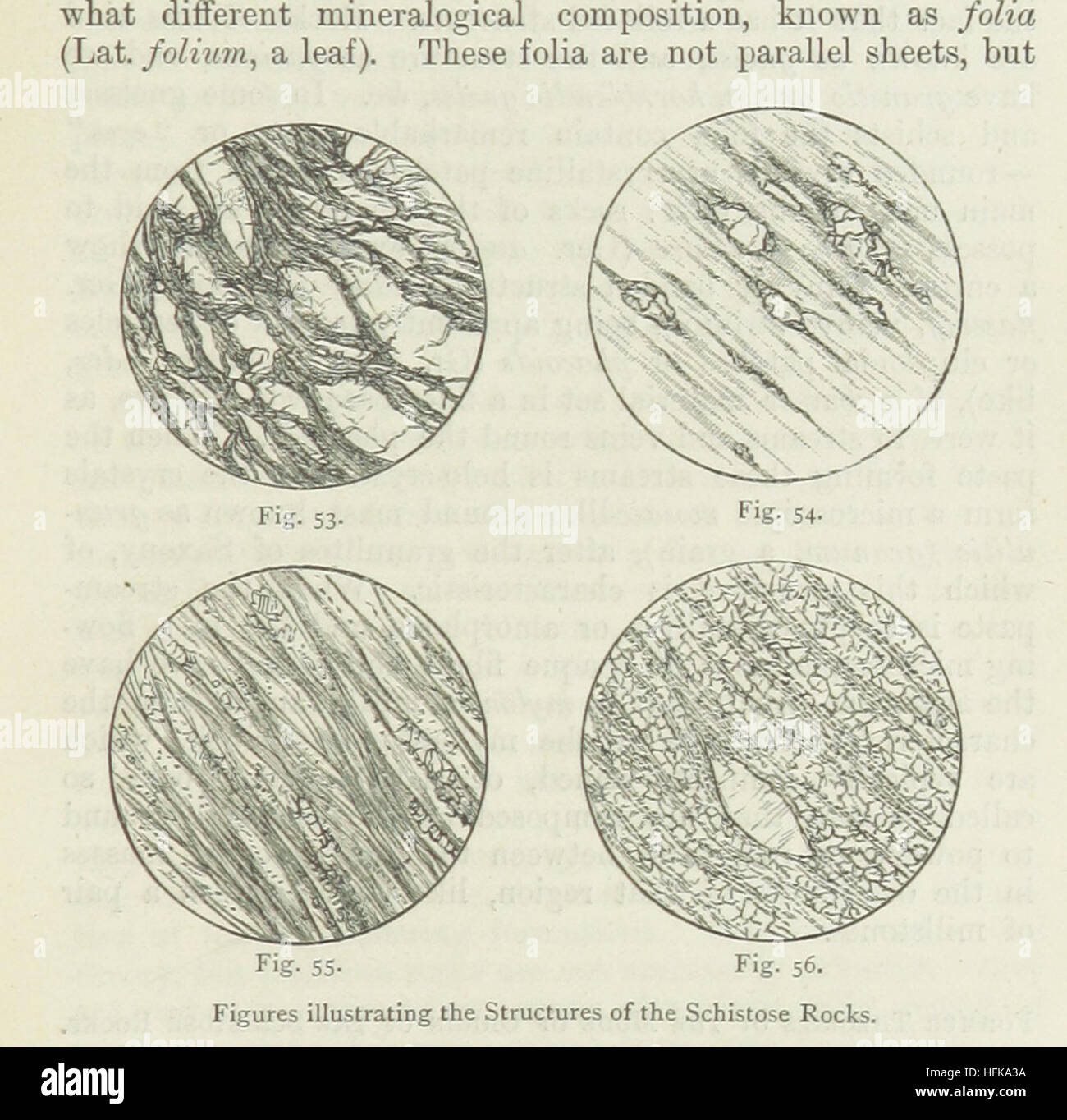 An introductory geology textbook, offering fundamental principles and ...