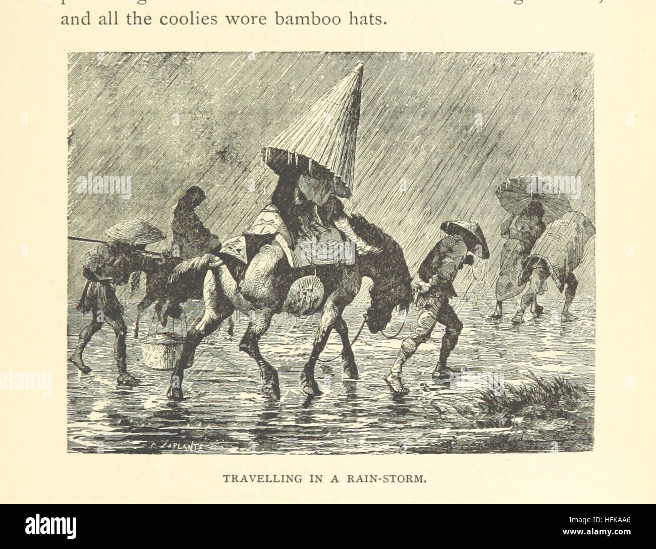 The story details the experiences of the Jewett family and their ...