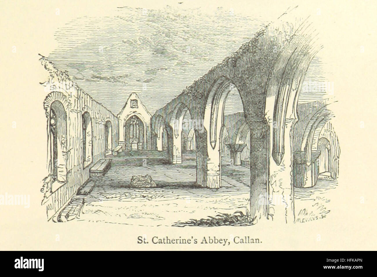 A history of Ireland, providing an overview of the nation's political ...