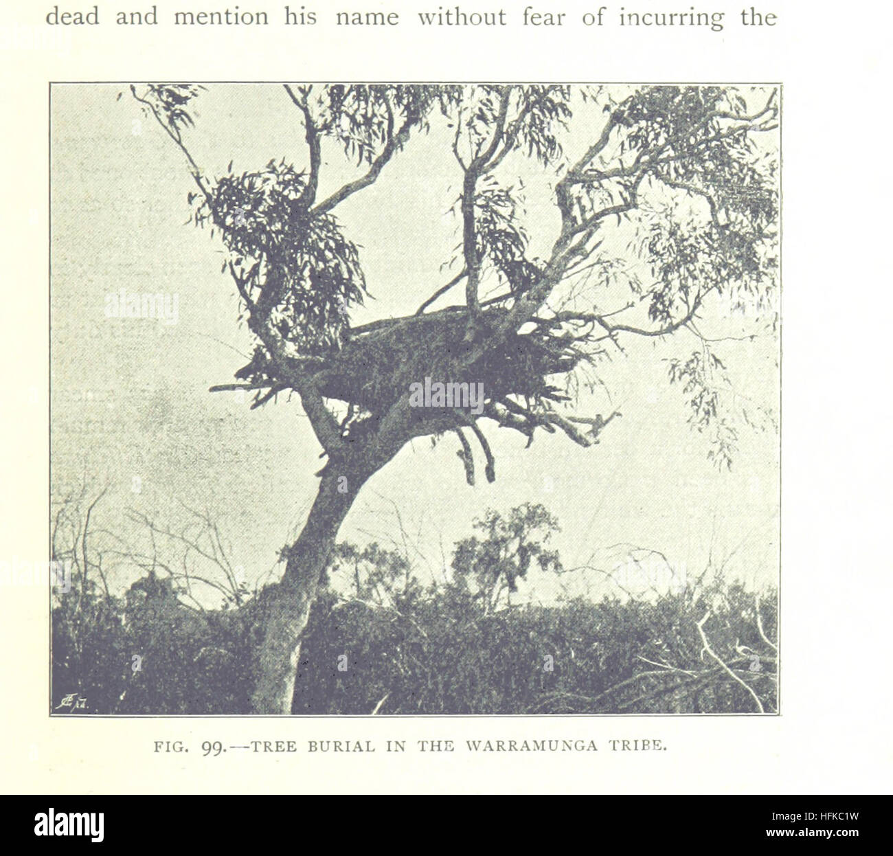 A study of the native tribes of Central Australia, providing insights ...