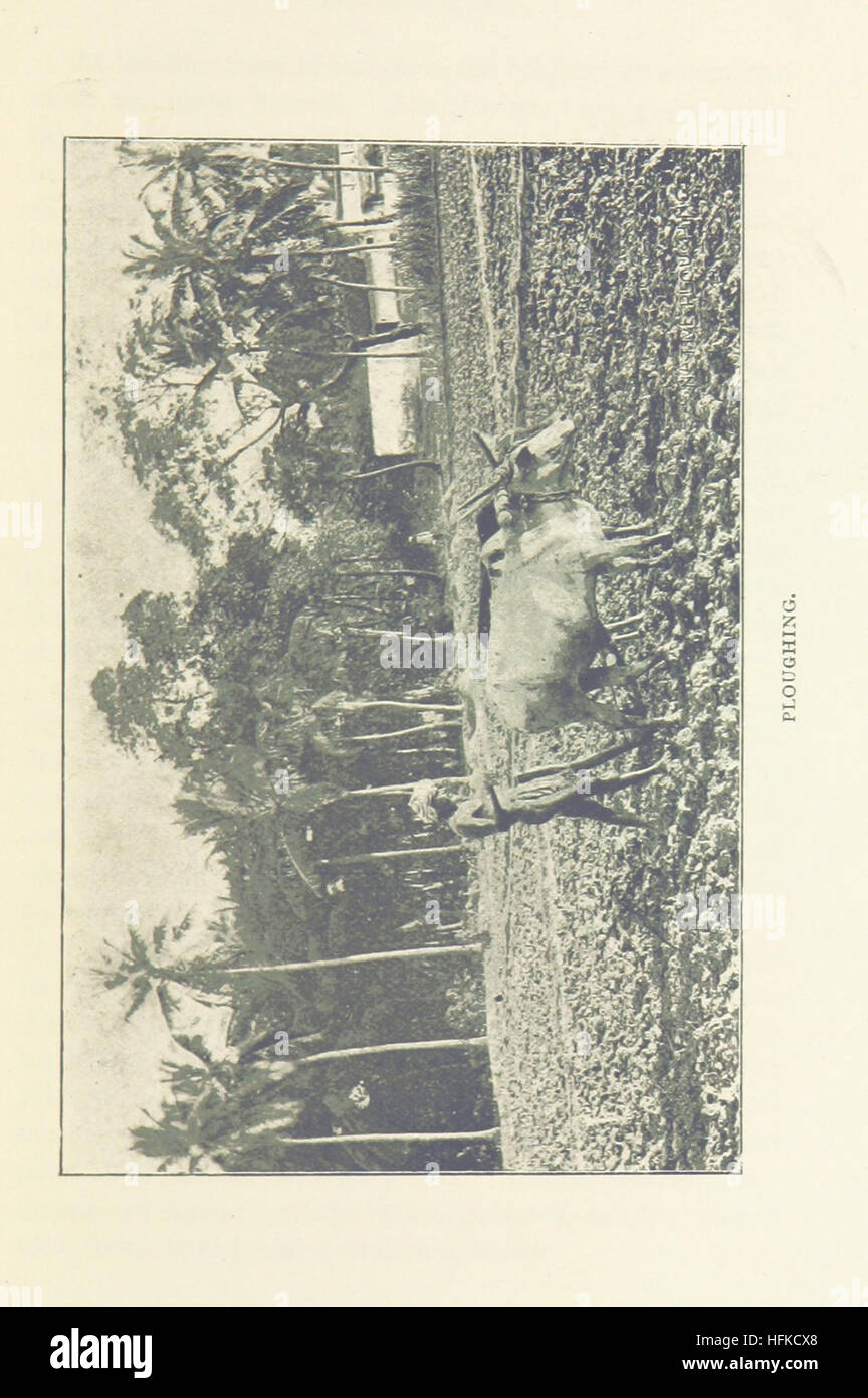 Page 121 of 'Indian Village Folk' offers insight into the lives, works ...
