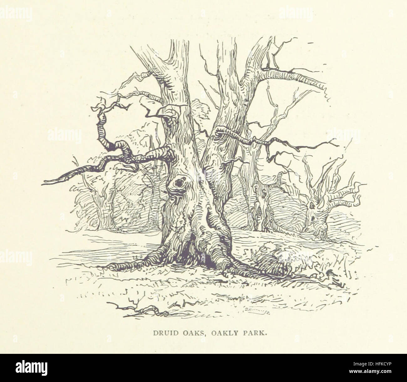 A collection of sketches depicting Ludlow’s scenery, historical ...