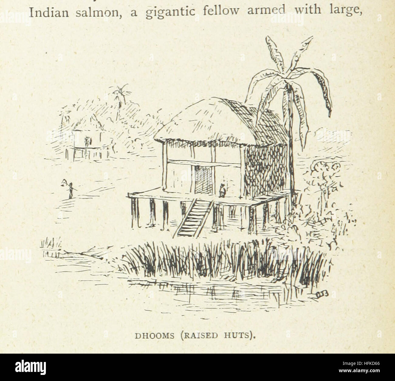 000201266 vol hi-res stock photography and images - Alamy