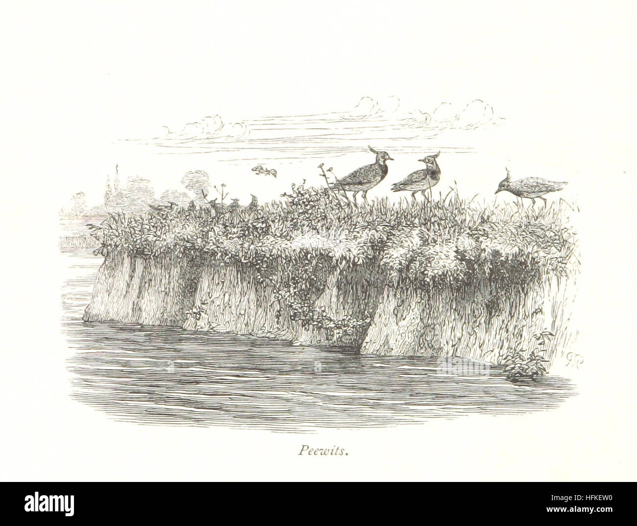 Illustration from 'Life on the Upper Thames' showing life along the ...