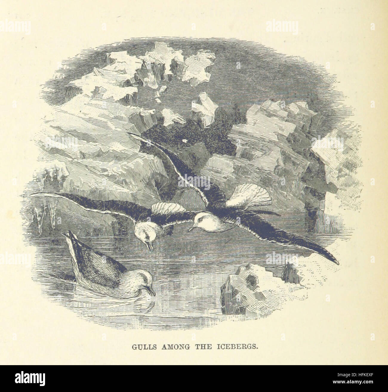 An image from 'Siberia in Asia' depicts the vast landscapes of Siberia ...