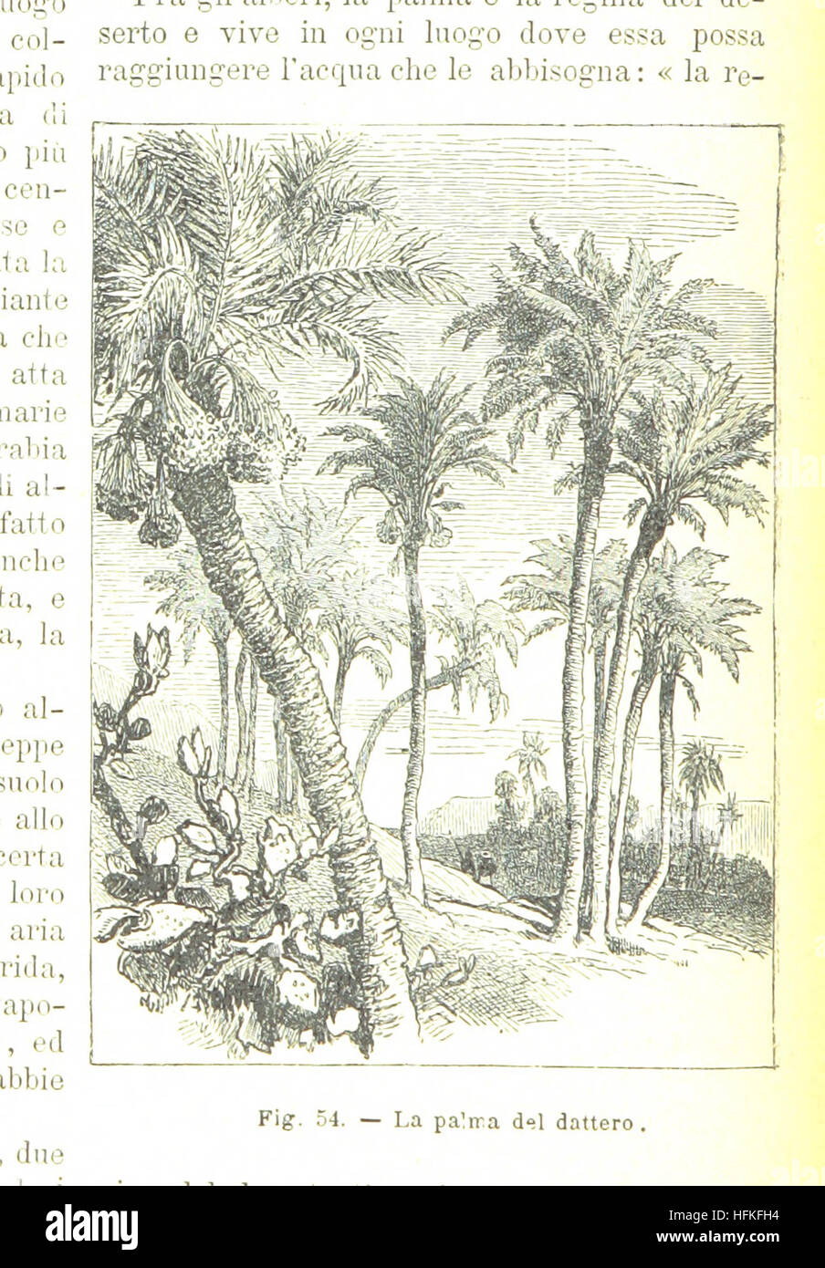 An illustrated geography text covering the world’s geography, with ...