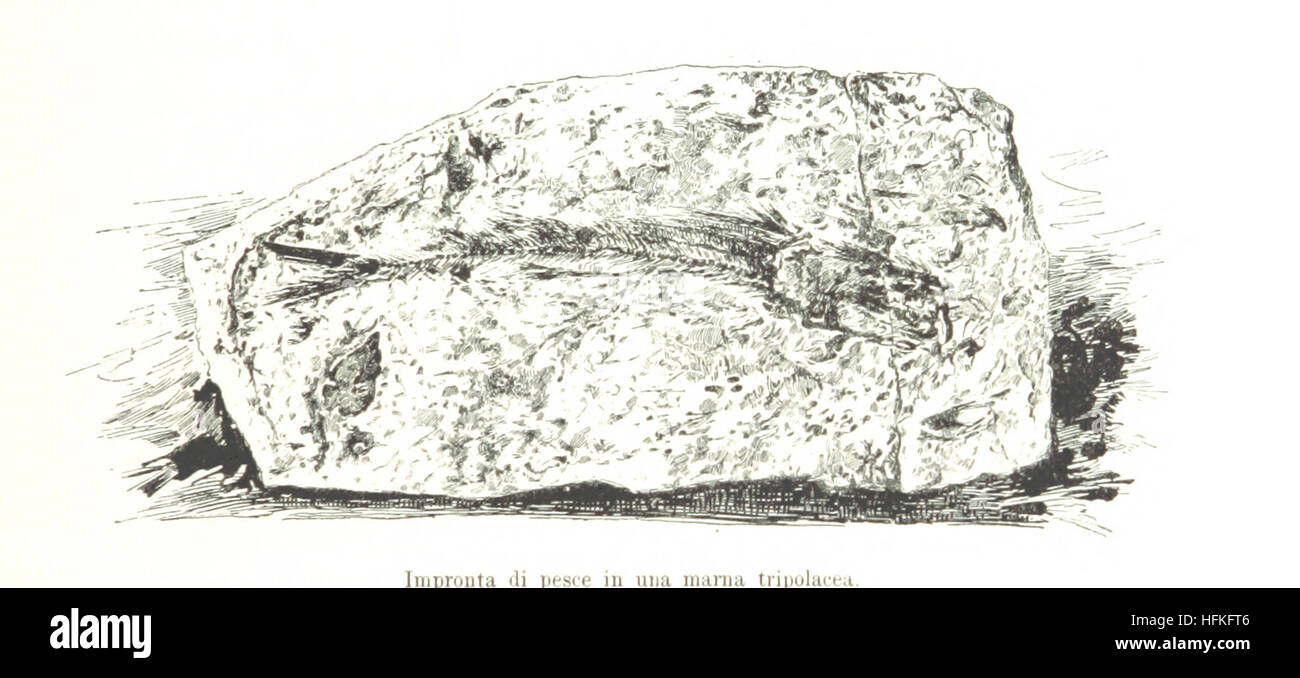 This travelogue describes a journey to the Oasis of Jupiter Ammon, with ...