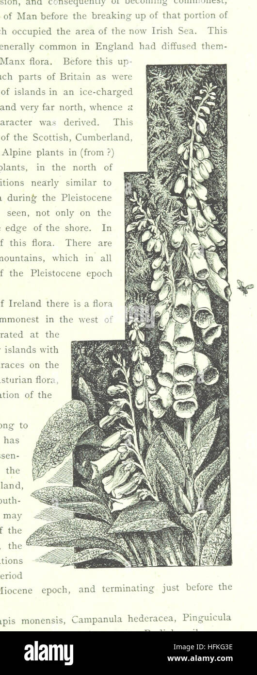 The Barrow Route to the Isle of Man ... Illustrated, etc. [With maps ...