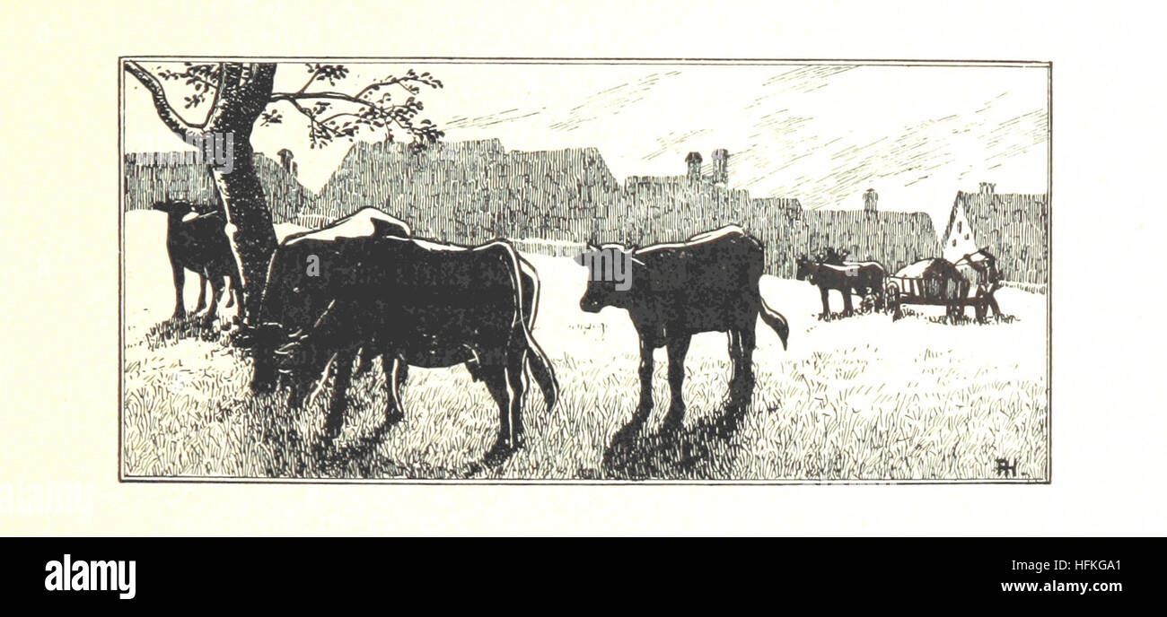 This work offers a historical overview of Switzerland in the 19th ...
