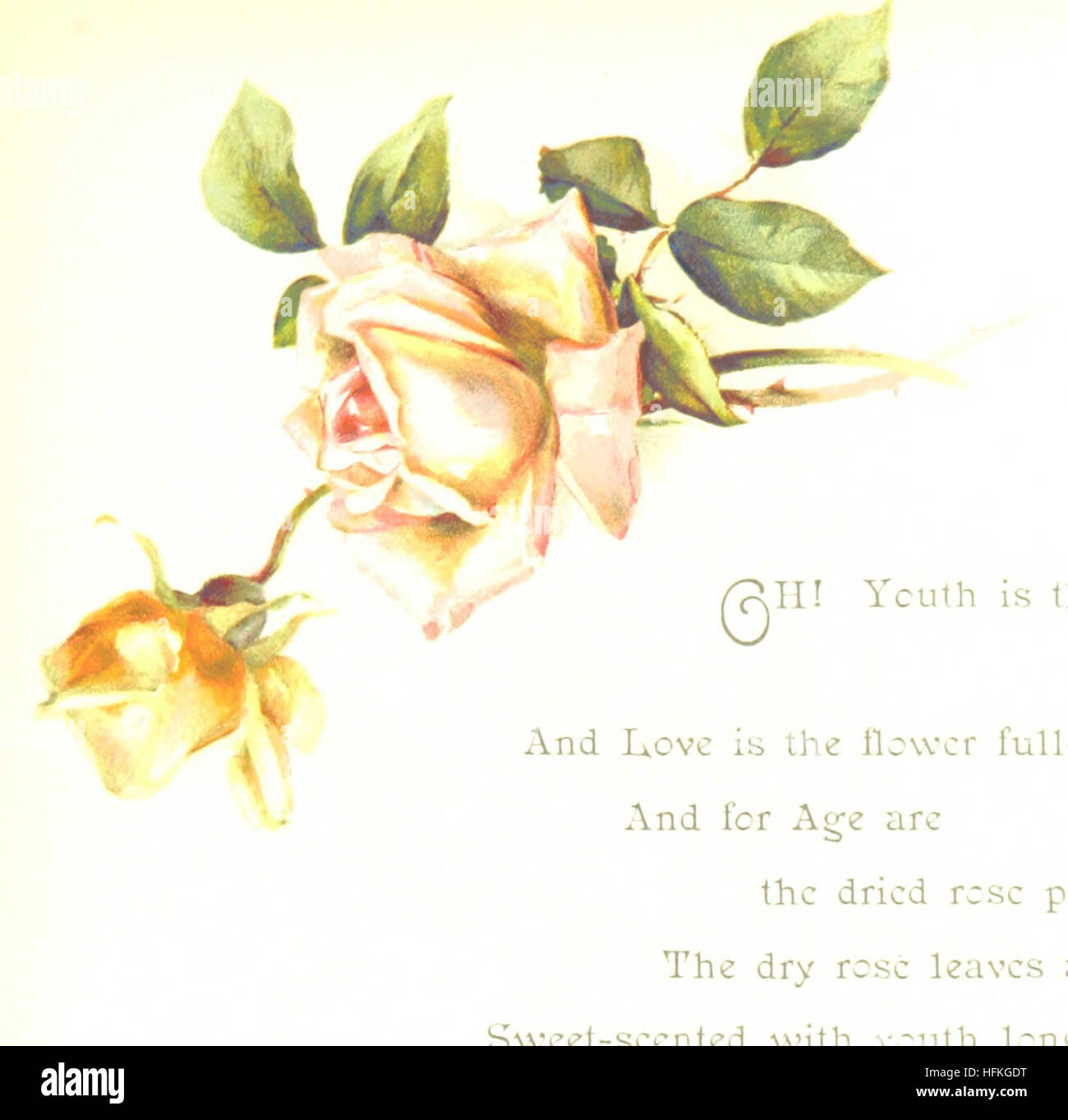 This image from 'Rose Leaves' showcases a collection of poems about ...