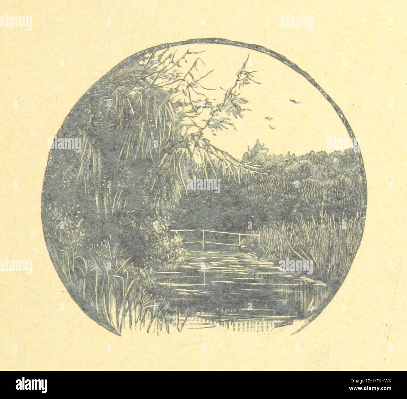 This descriptive and pictorial work offers a detailed look at the ...