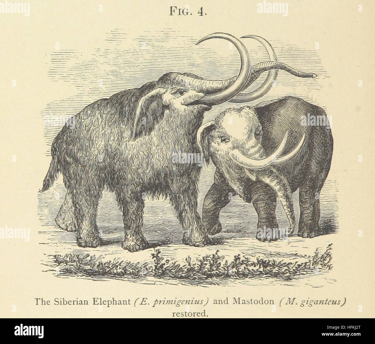 An image from 'Pre-historic Races of the United States of America ...