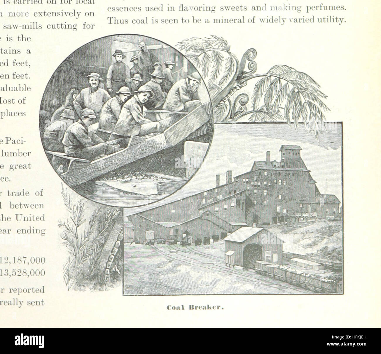 Image from page 91 of 'New Canadian Geography,' a textbook providing ...