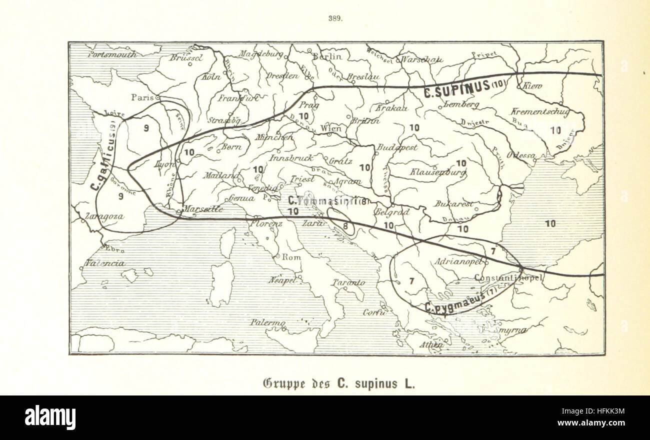 This geography and world knowledge textbook provides an in-depth look ...