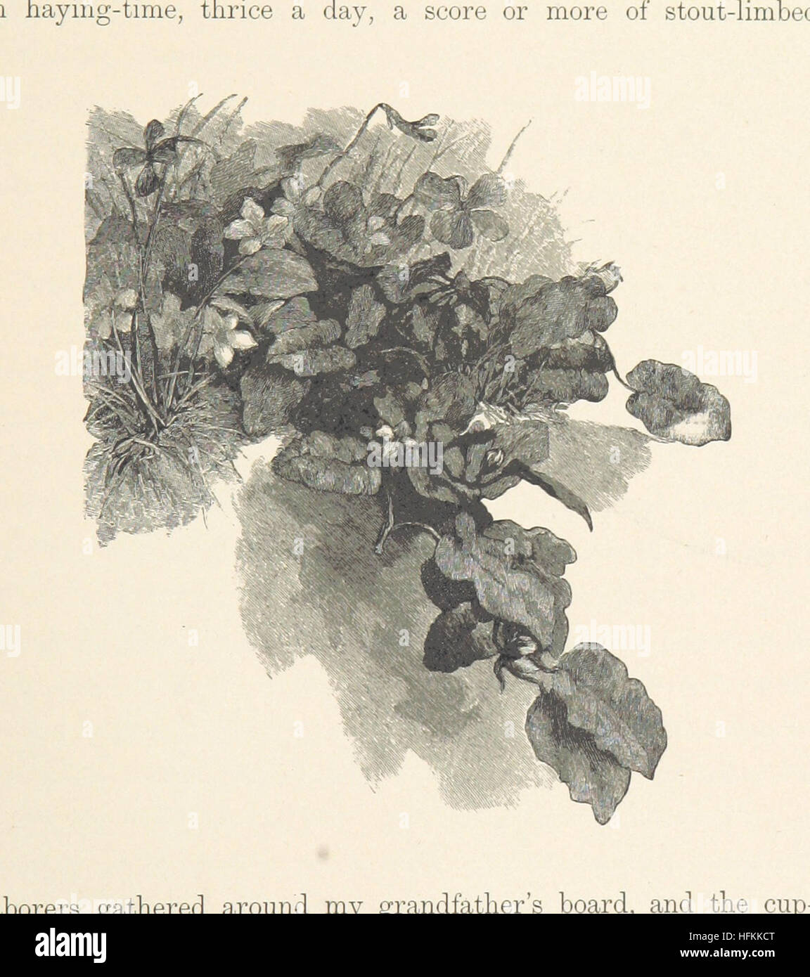 Gail hamilton hi-res stock photography and images - Alamy