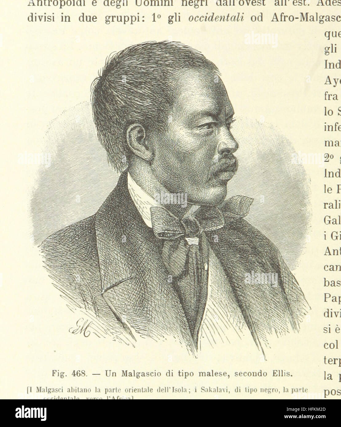 A collection of general anthropology lectures on human evolution ...