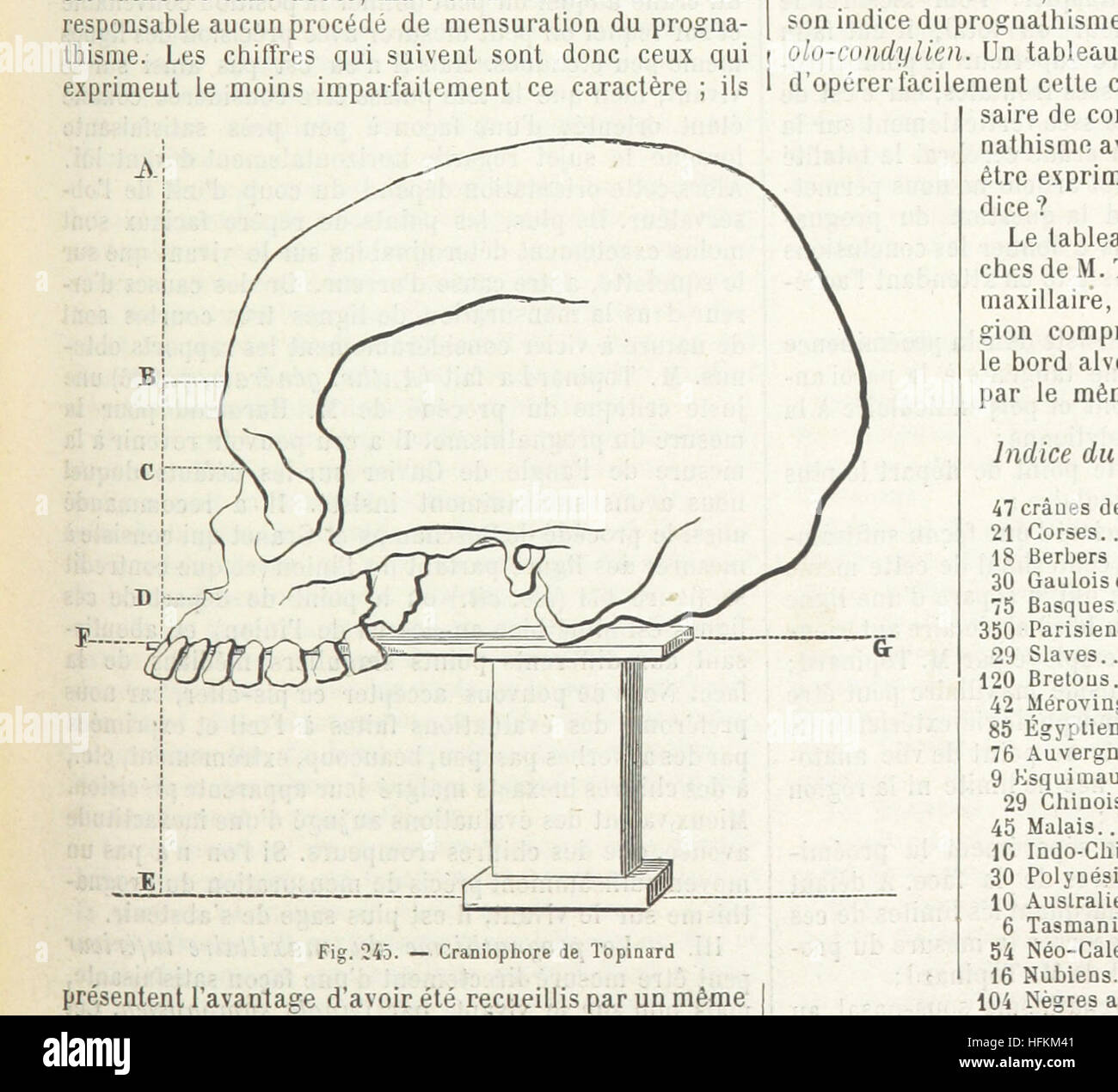 A comprehensive dictionary of anthropological sciences, edited by A ...