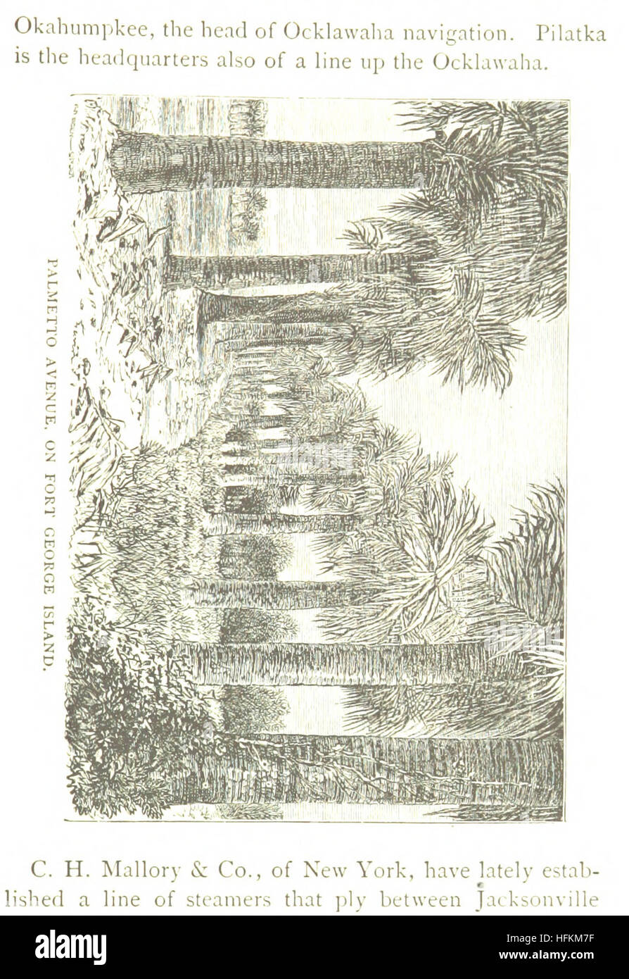 A comprehensive overview of Florida's scenery, climate, and historical ...