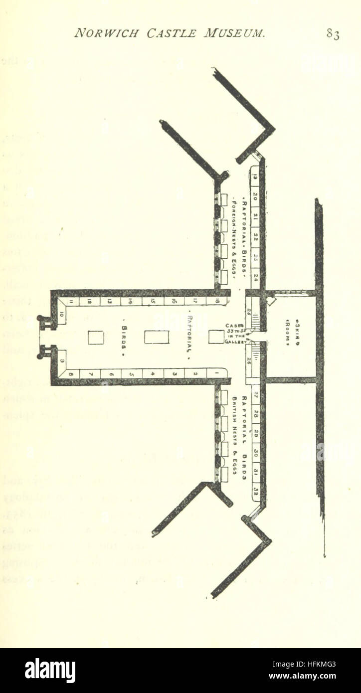 The official guide to Norwich Castle Museum, detailing its origin ...