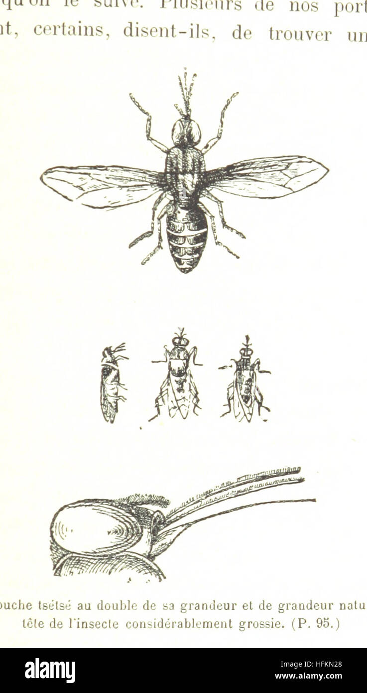 Page 97 of 'A travers le Zanguebar' provides a detailed account of ...