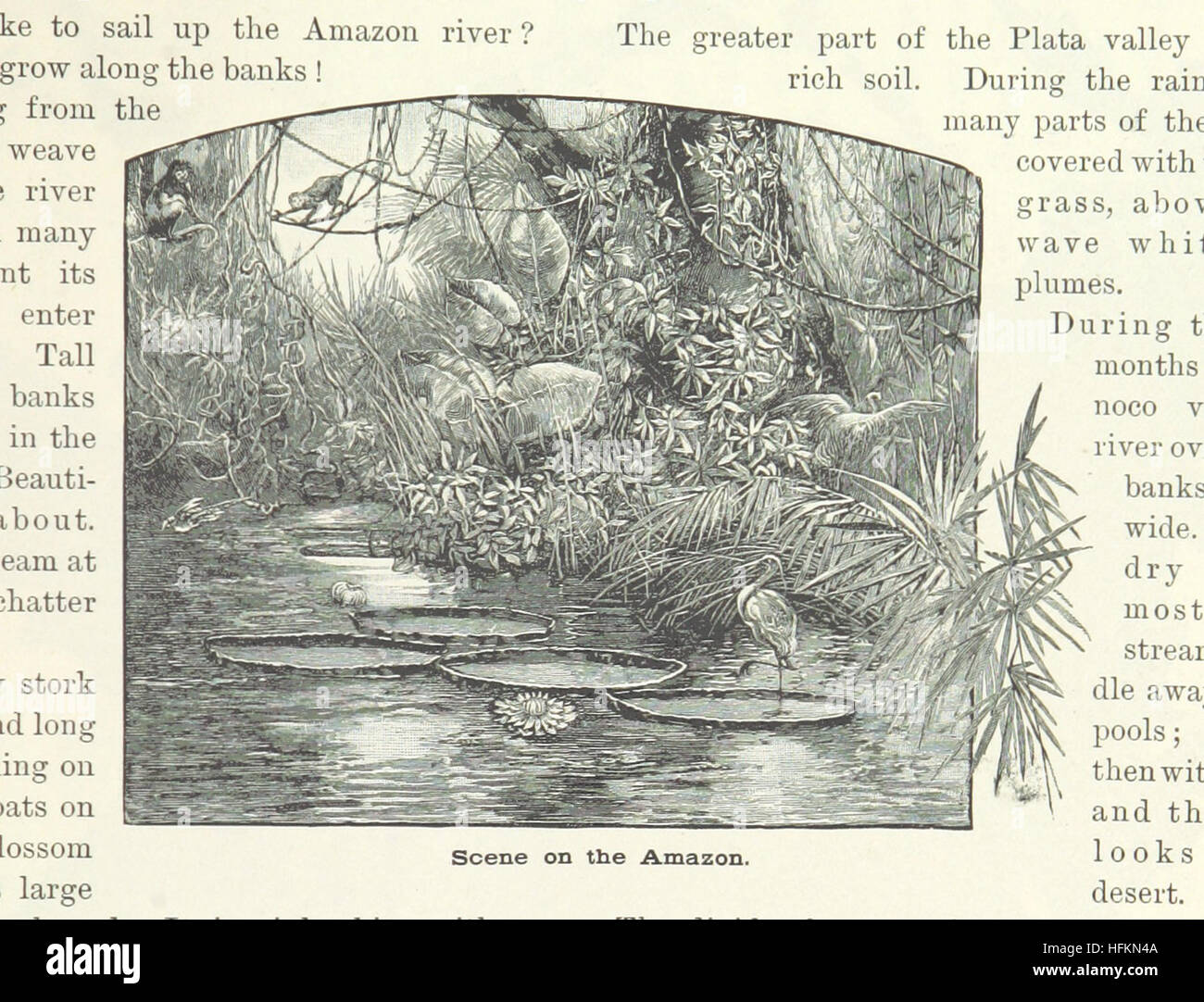 This page from 'Elements of Geography' illustrates the fundamental ...