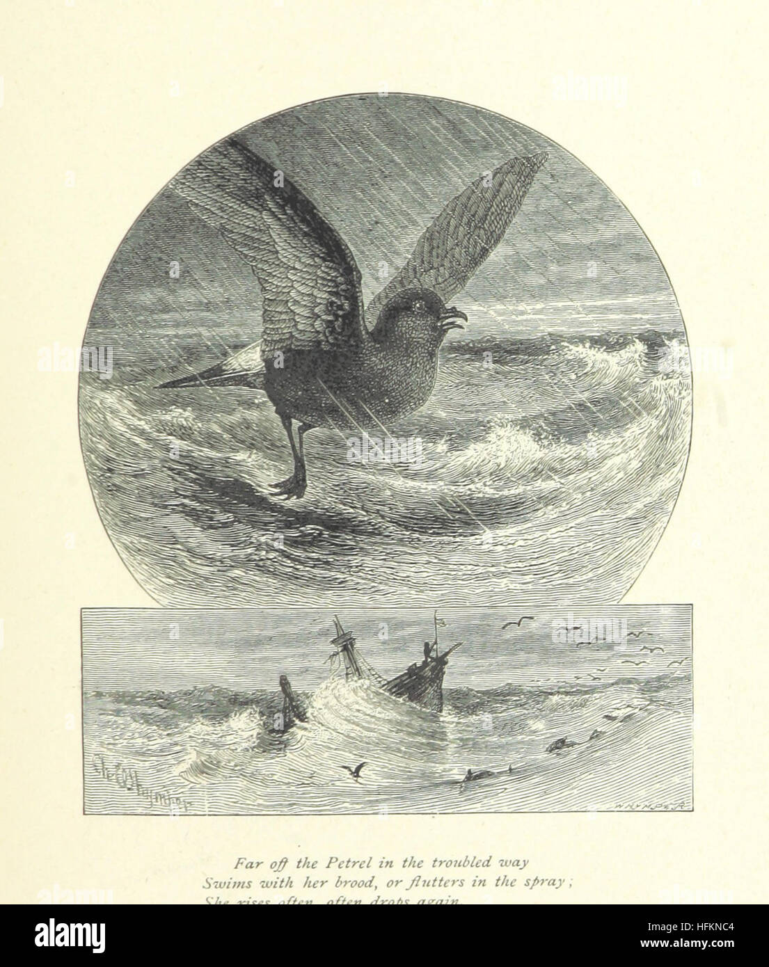 Winter Pictures by poet and artist. [Selections in verse from various ...