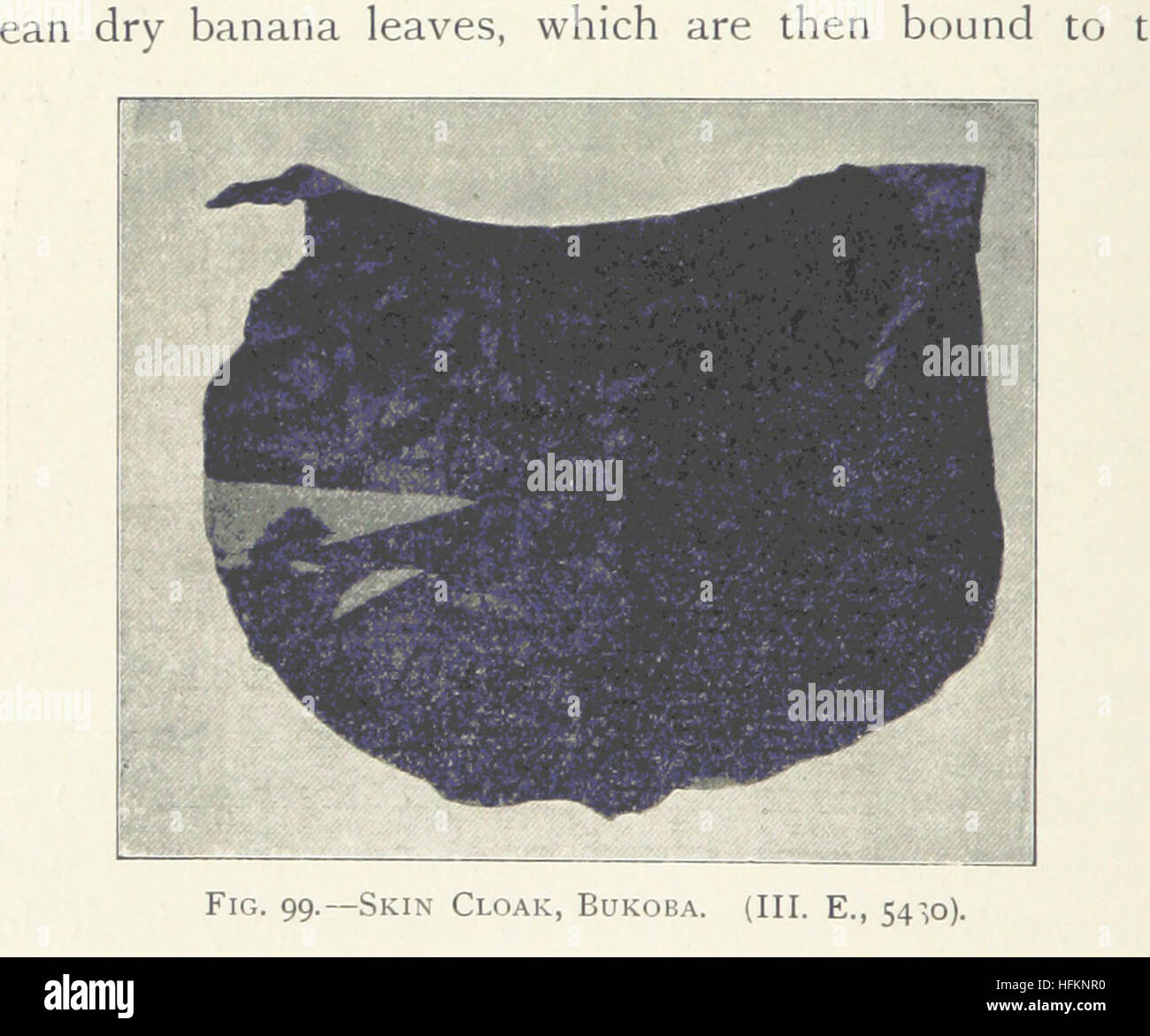 Image from page 98 of 'The Victoria Nyanza', showcasing the land, races ...