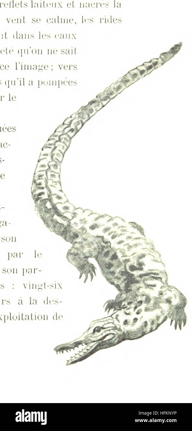Illustration from page 99 of 'Croquis Congolais,' depicting the diverse ...