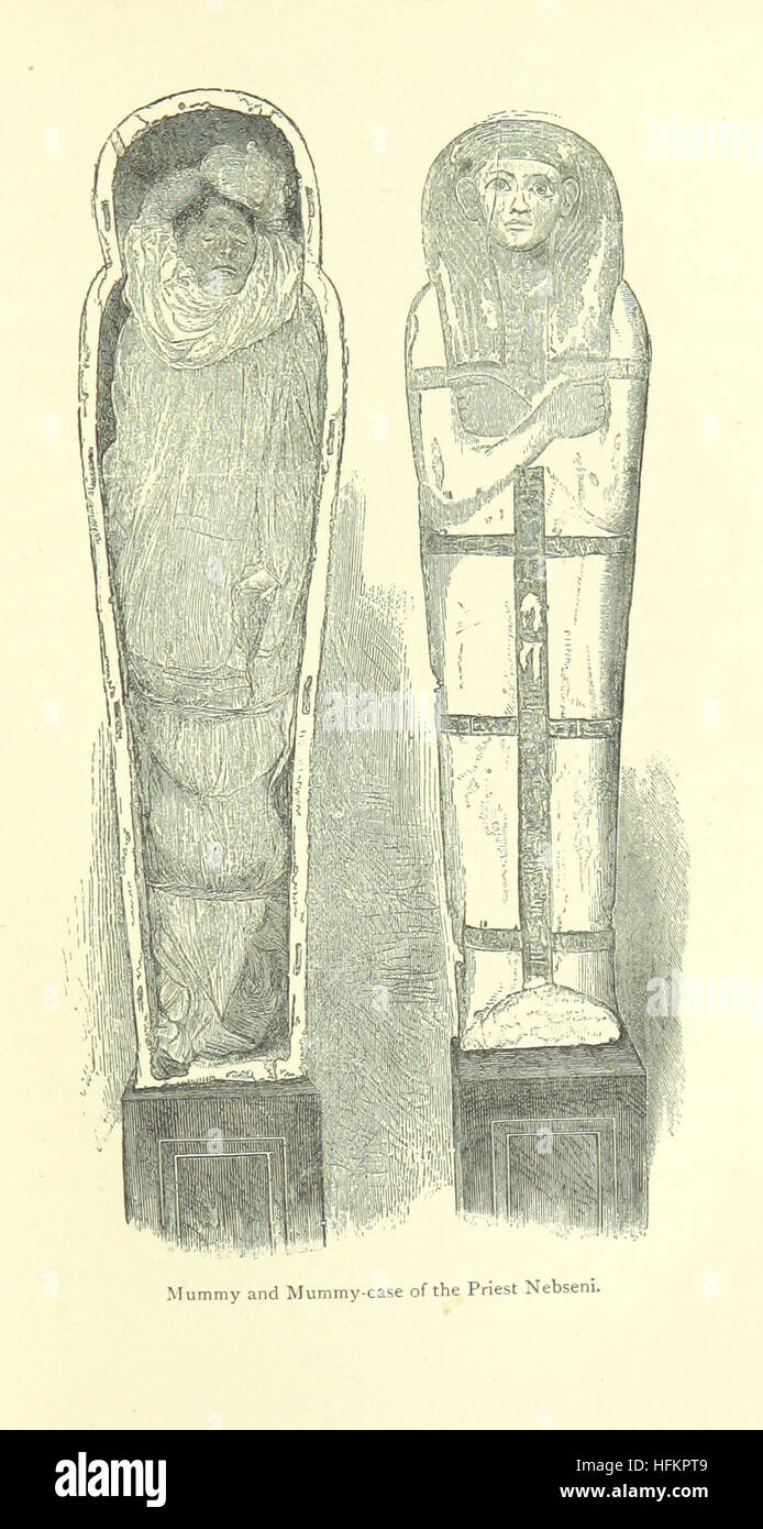 *The Pharaohs and their People* provides a detailed portrayal of ...