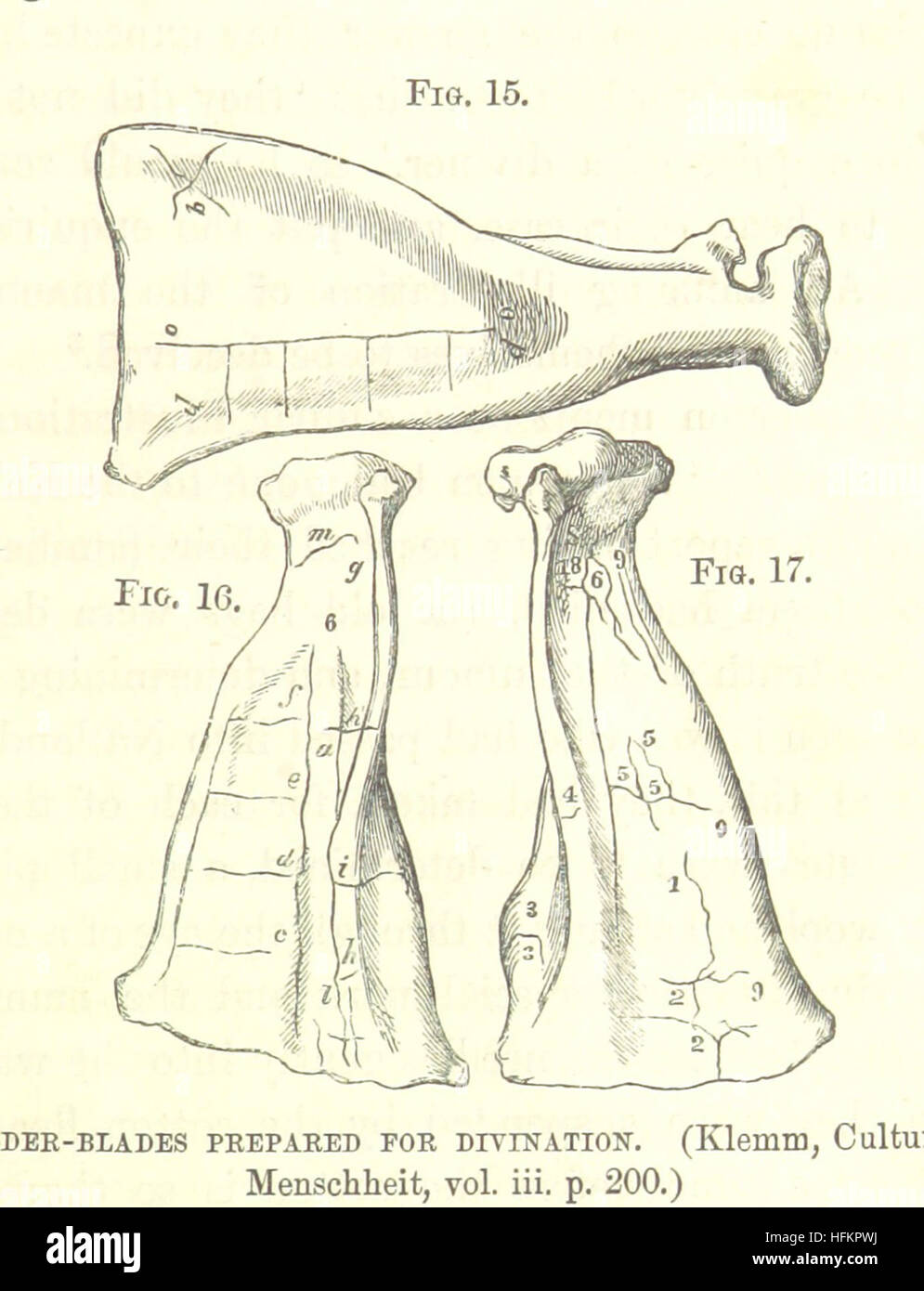 The image from 'The Origin of Civilization' shows a depiction of early ...