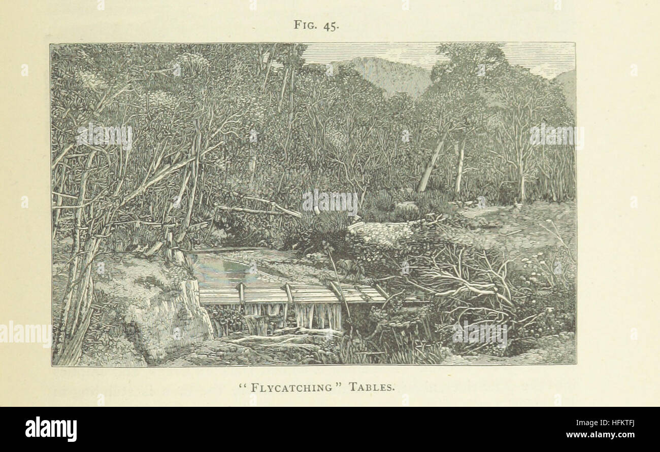 This image is from a comprehensive guide on gold mining, detailing gold ...